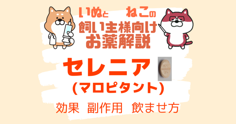犬猫お薬解説 セレニアの効果や副作用、飲ませ方を現役獣医師がわかりやすく解説! どこでも獣医学~ドコジュウ~