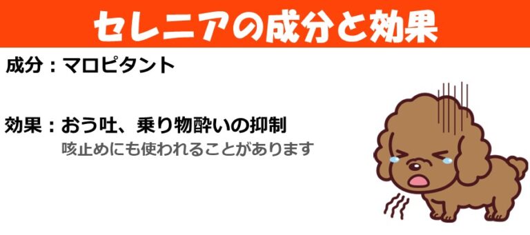 犬猫お薬解説 セレニアの効果や副作用、飲ませ方を現役獣医師がわかりやすく解説！ どこでも獣医学～ドコジュウ～