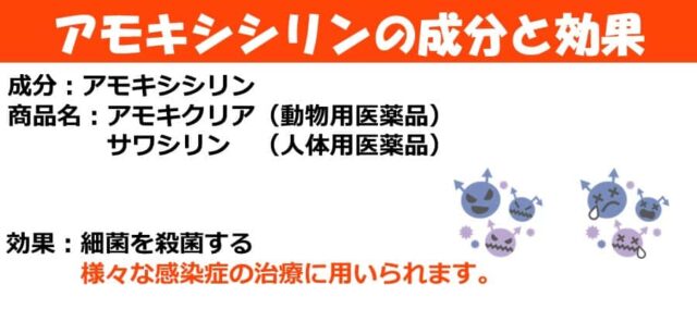 獣医師執筆 アモキシシリン、アモキクリアの効果や副作用、飲ませ方をわかりやすく説明します どこでも獣医学～ドコジュウ～