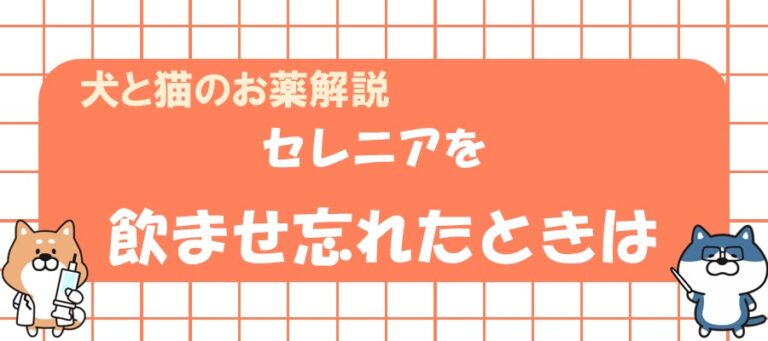 犬猫お薬解説 セレニアの効果や副作用、飲ませ方を現役獣医師がわかりやすく解説! どこでも獣医学~ドコジュウ~