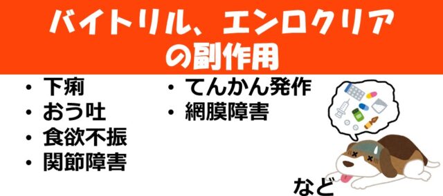 現役獣医師が解説！バイトリル、エンロフロキサシンの効果・副作用・飲ませ方 どこでも獣医学～ドコジュウ～