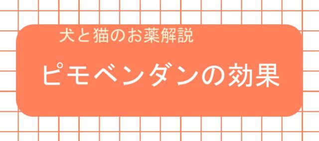 犬猫お薬解説 ピモベハート、ベトメディンピモベンダンの効果や副作用、飲ませ方を現役獣医師がわかりやすく解説! どこでも獣医学~ドコジュウ~