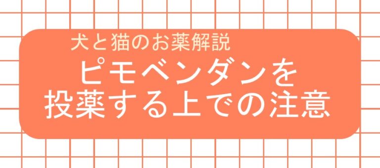 犬猫お薬解説 ピモベハート、ベトメディンピモベンダンの効果や副作用、飲ませ方を現役獣医師がわかりやすく解説! どこでも獣医学~ドコジュウ~