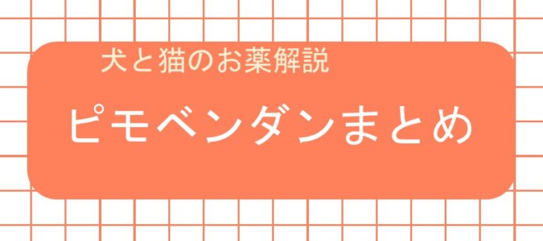 犬猫お薬解説 ピモベハート、ベトメディンピモベンダンの効果や副作用、飲ませ方を現役獣医師がわかりやすく解説! どこでも獣医学~ドコジュウ~