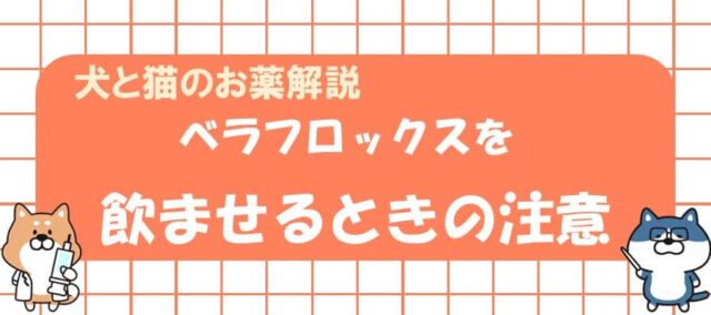獣医師執筆 ベラフロックスの効果や副作用、飲ませ方をわかりやすく説明します どこでも獣医学～ドコジュウ～