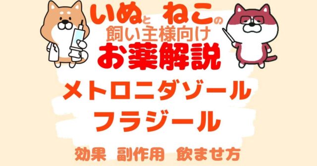獣医師解説！メトロニダゾールとフラジールの効果・副作用・飲ませ方と注意事項 どこでも獣医学～ドコジュウ～